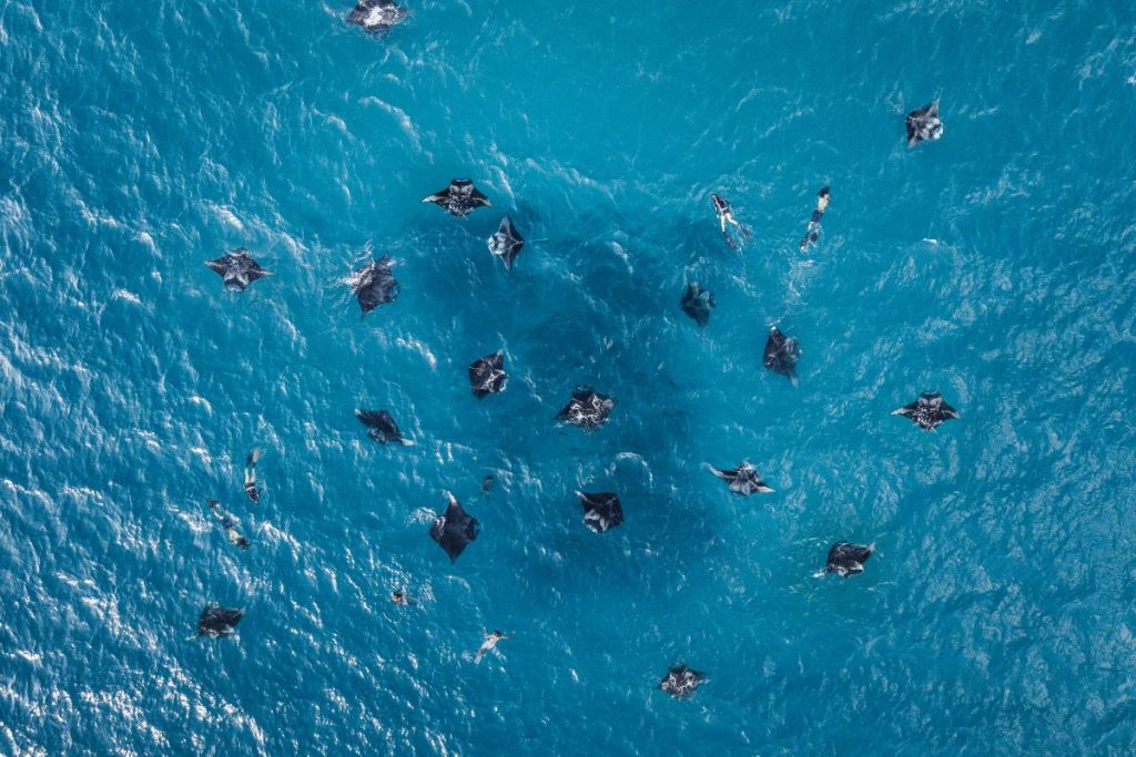 10 choses incontournables à faire aux Maldives - Splendia