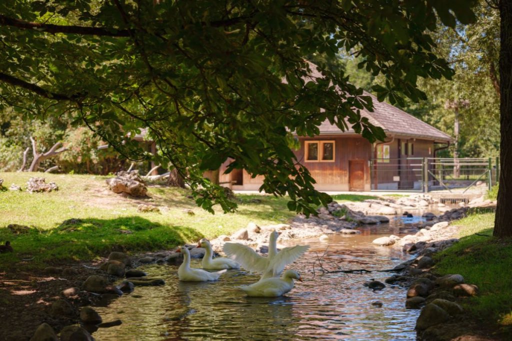 Que faire et que visiter à Bâle - Splendia